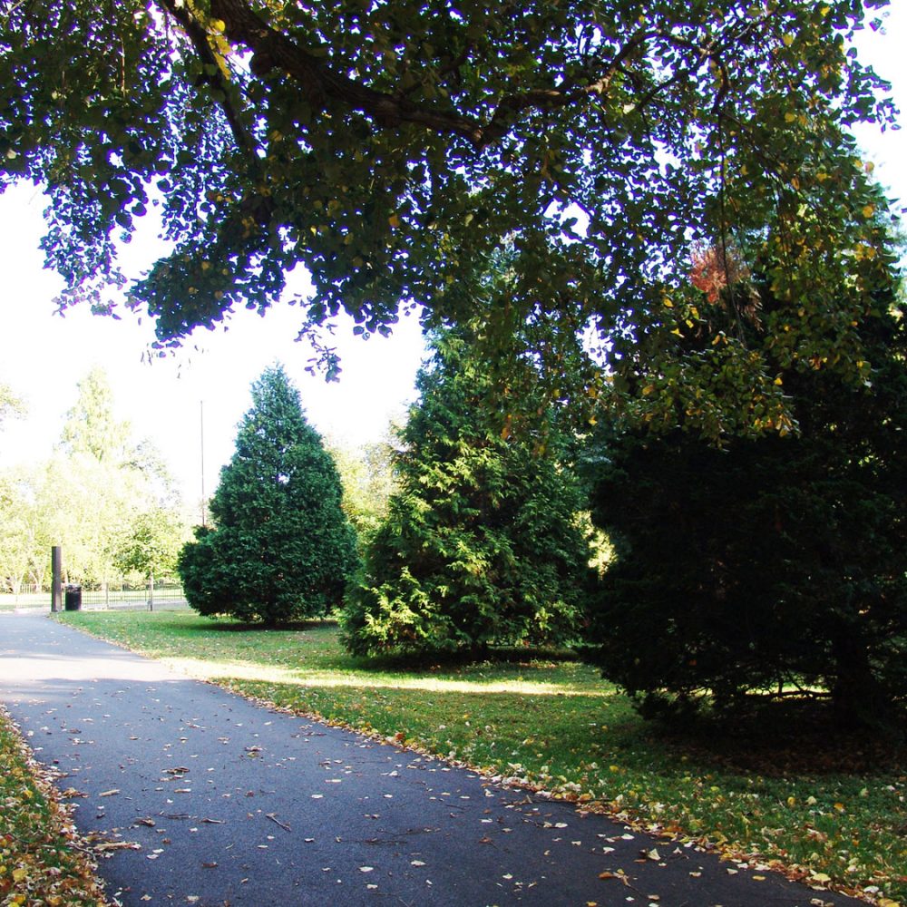 Scott Arboretum | Garden Tour