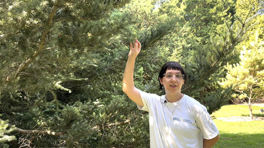 Scott Arboretum | Beautiful gardens across the grounds Swarthmore College