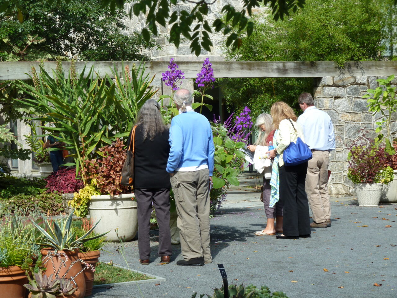 About - The Scott Arboretum