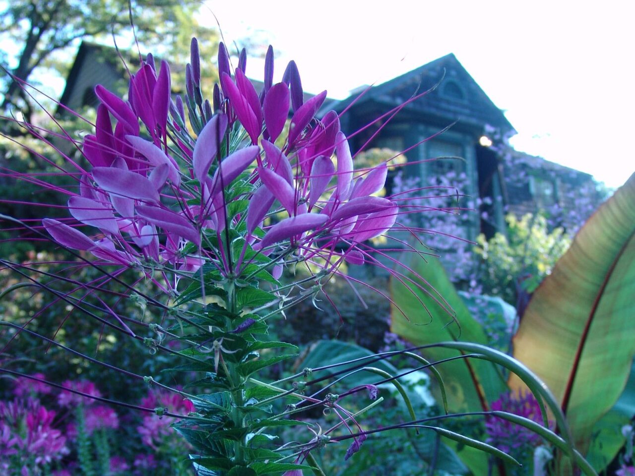 Terry Shane Teaching Garden - The Scott Arboretum