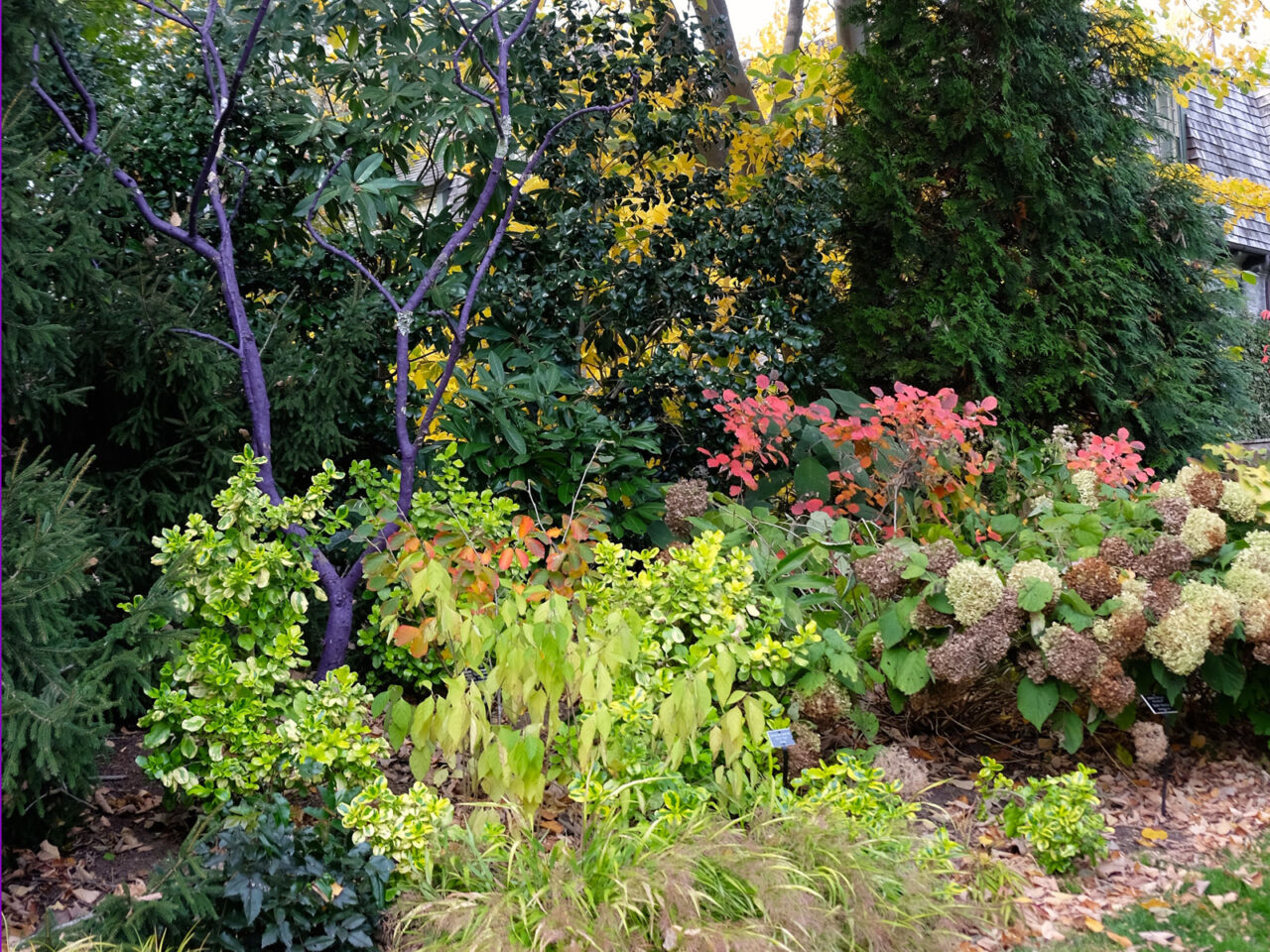 Terry Shane Teaching Garden - The Scott Arboretum