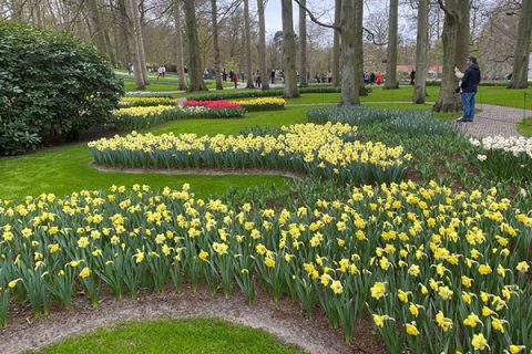 Travels @ 12: Early Spring Gardens in the Loire Valley, Belgium, and ...